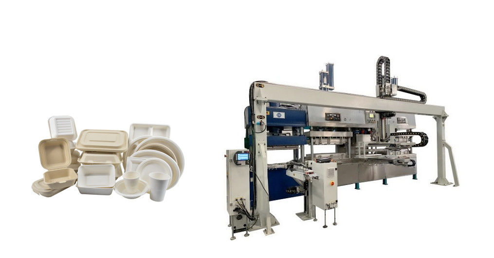 Quality Paper Pulp Molding Machinery & Pulp Molding Clamshell Lunch Box ...