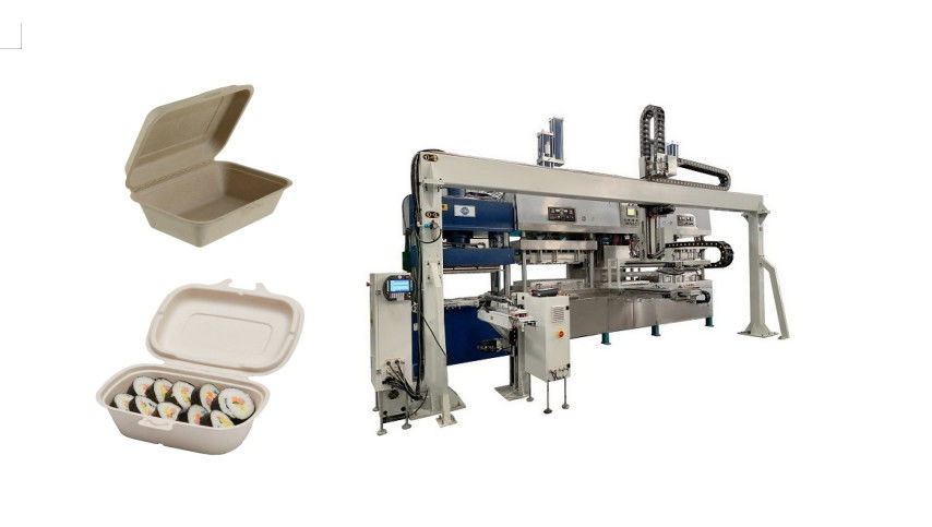 Automatic Pulp Molding Fiber Nature Color Salad Box Production Line ...