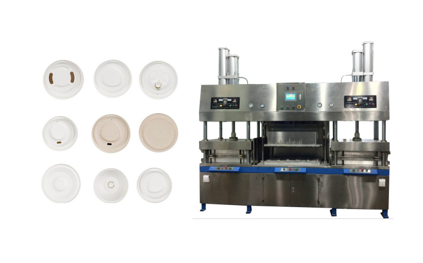 Efficient Molded Pulp Clamshell Box Machine With PLC Control