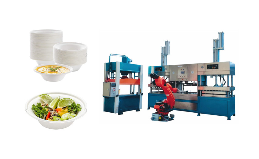 Automatic Paper Pulp Molding Machinery For Biodegradable Tableware ...