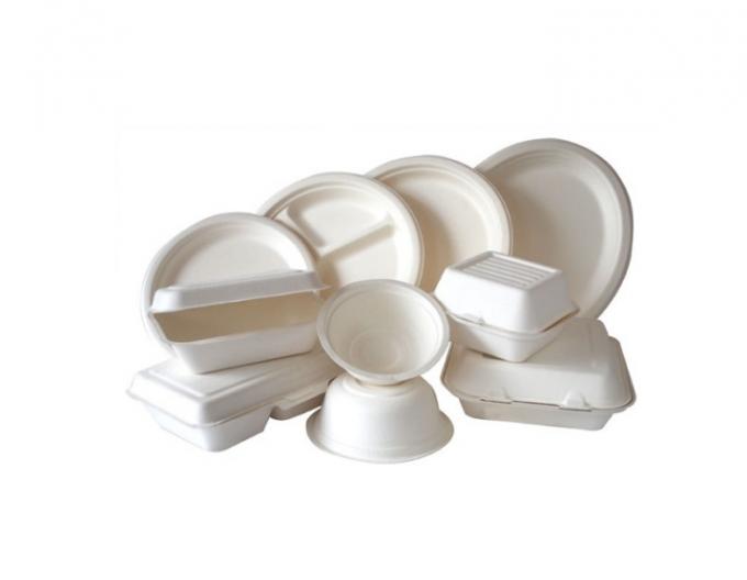 Biodegradable Pulp Molded Food Packaging Equipment